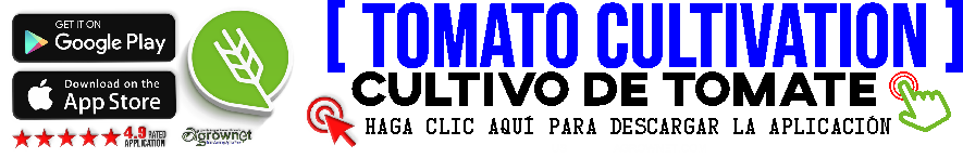 Cultivos de tomates | Agrownet™ Una Guía Completa para el Cultivo de ...