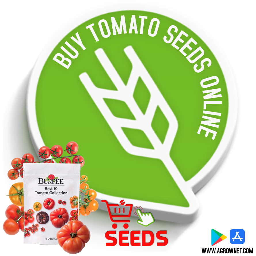 🛒 Buy Tomato Seeds Online The Ultimate Guide To Buying Tomato Seeds Online For A Bountiful Harvest