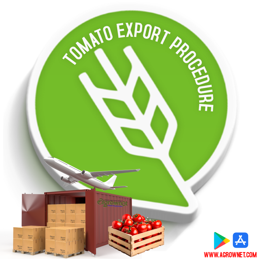 🌎 Tomato Export procedure Agrownet Comprehensive Guide to Tomato Export Procedures