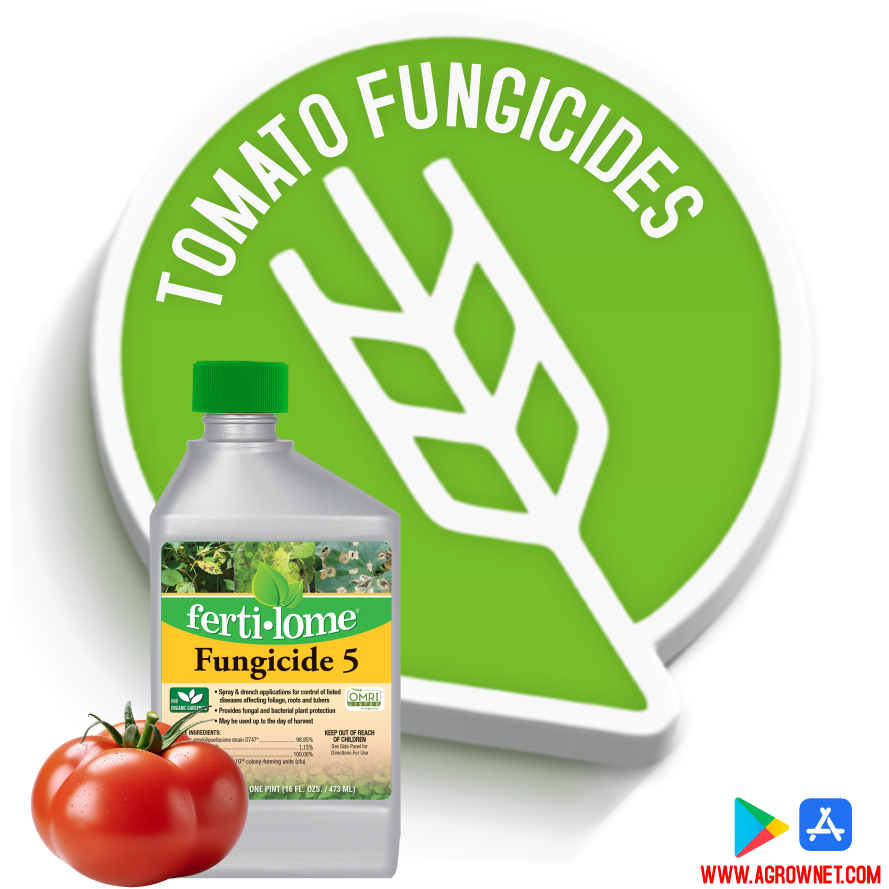 🧪 Tomato Fungicides : Understanding the Importance of Tomato Fungicides ...